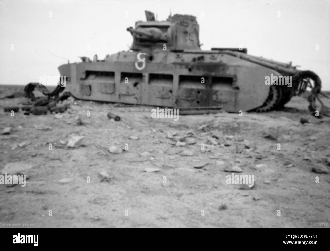 Matilda ii tank -Fotos und -Bildmaterial in hoher Auflösung – Alamy
