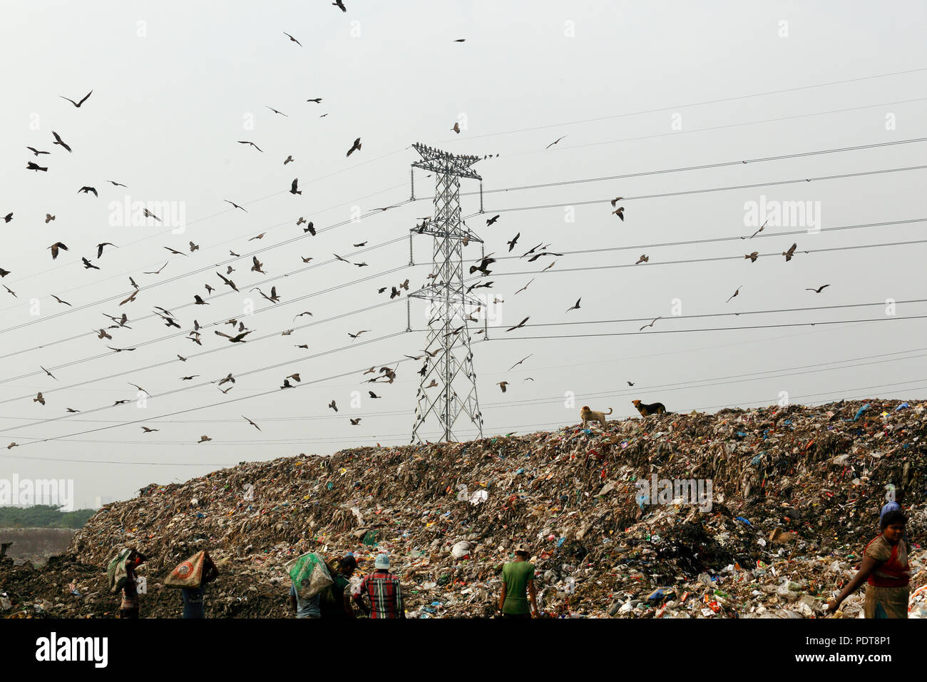 Dump yard -Fotos und -Bildmaterial in hoher Auflösung – Alamy
