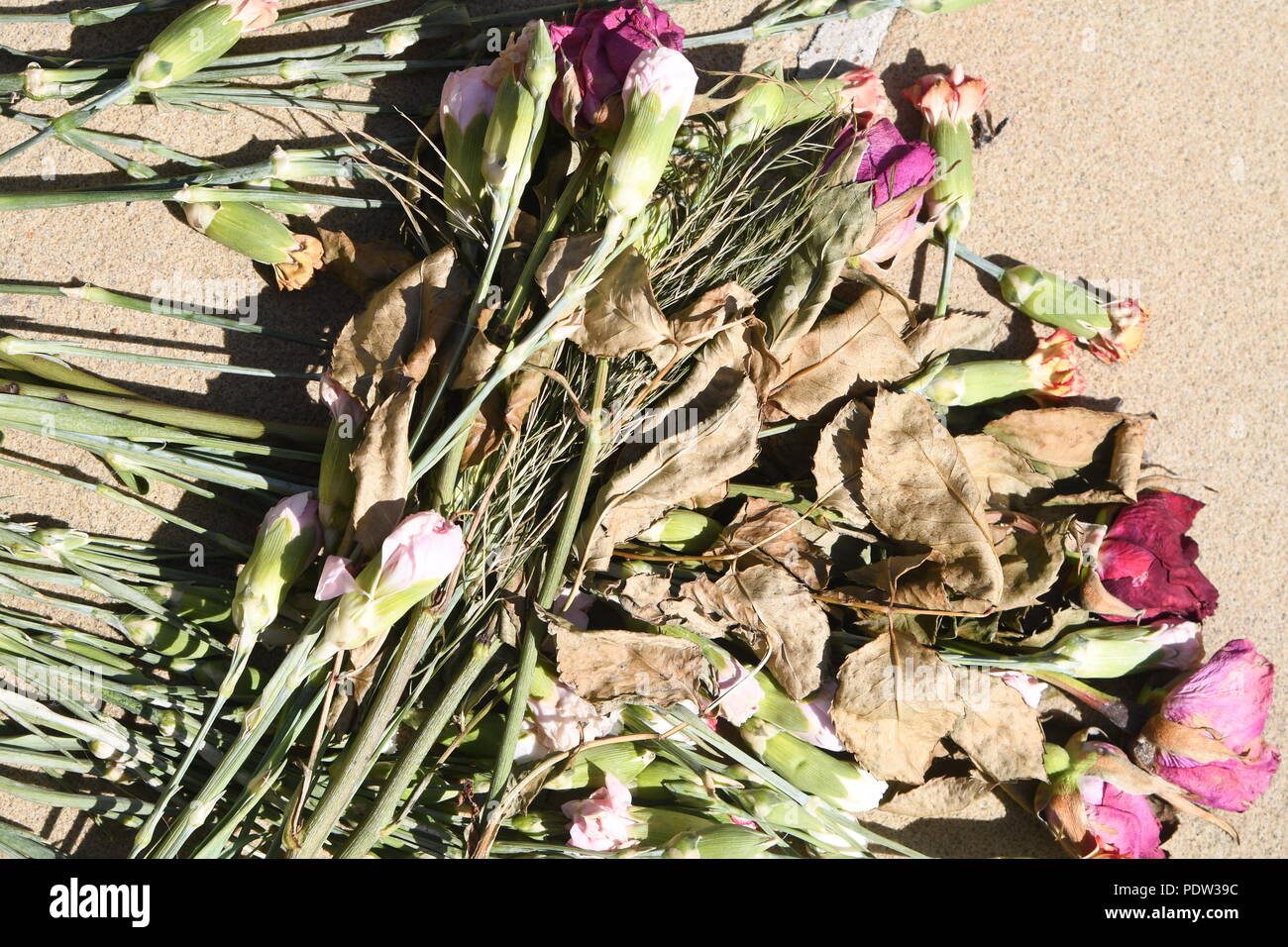 Welkender boquet -Fotos und -Bildmaterial in hoher Auflösung – Alamy