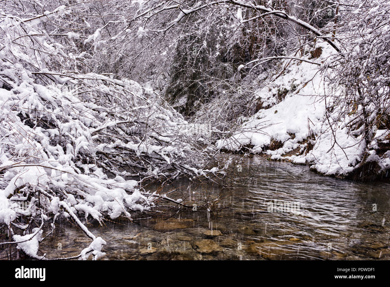 Wilder fluss -Fotos und -Bildmaterial in hoher Auflösung – Alamy