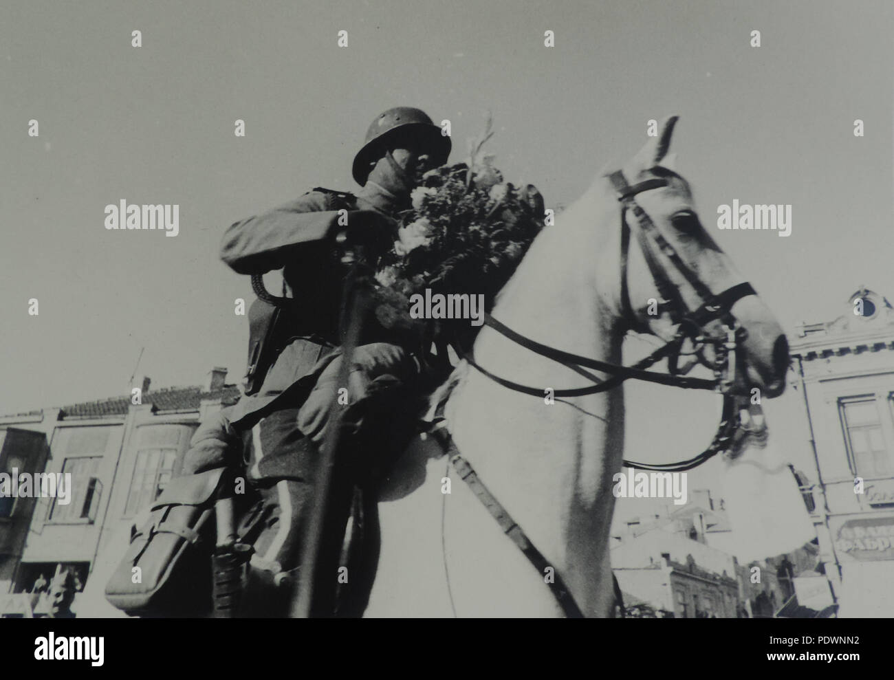 15 foto -Fotos und -Bildmaterial in hoher Auflösung – Alamy