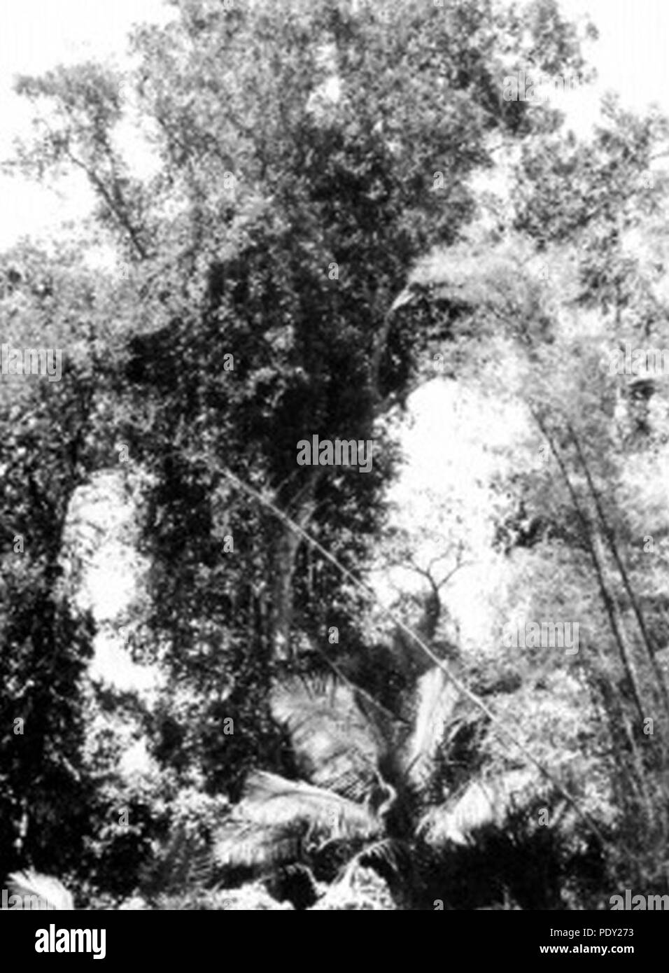 Formato de historia Schwarzweiß-Stockfotos und -bilder - Alamy