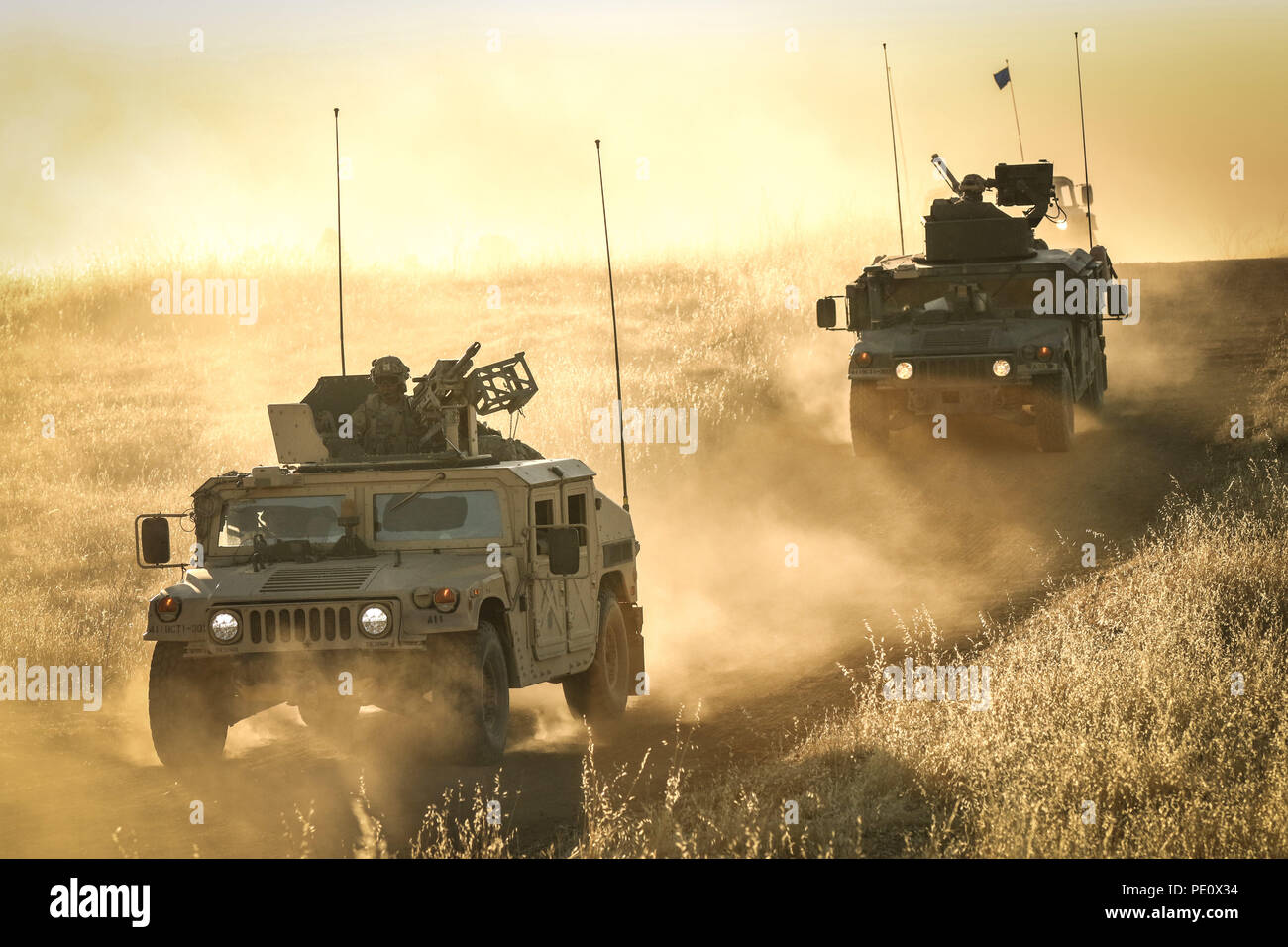 41st ibct -Fotos und -Bildmaterial in hoher Auflösung – Alamy