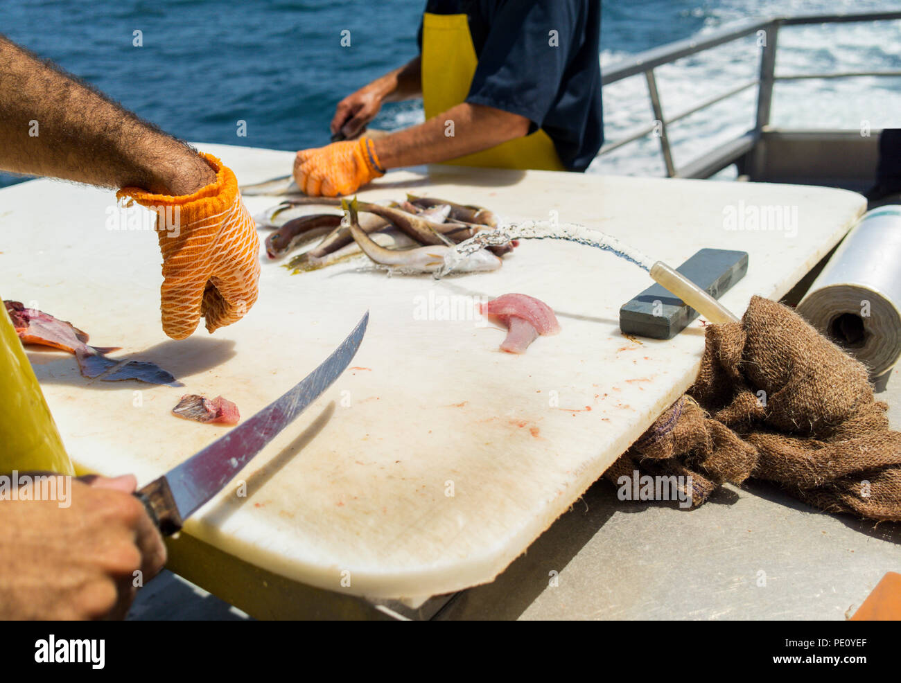 Fischer auf dem Schiff deck schneiden Fischfilets mit Blick auf den ...