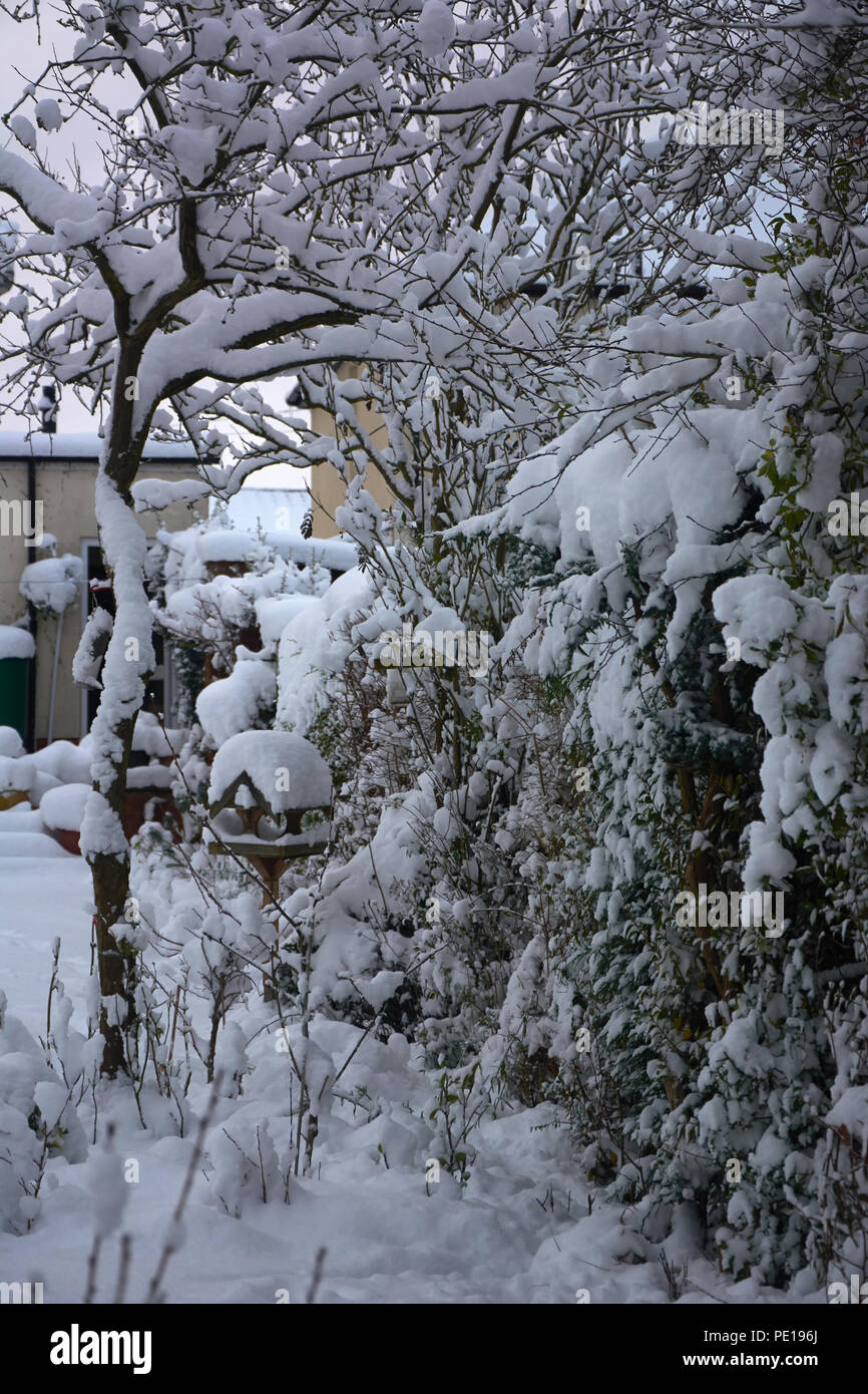 Kalter klimabaum -Fotos und -Bildmaterial in hoher Auflösung – Alamy