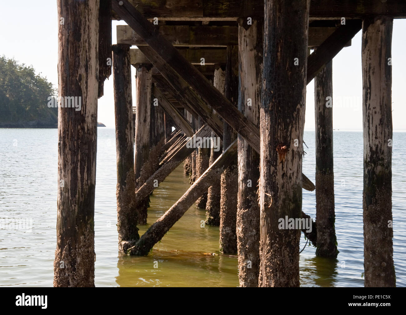 Timber support -Fotos und -Bildmaterial in hoher Auflösung – Alamy