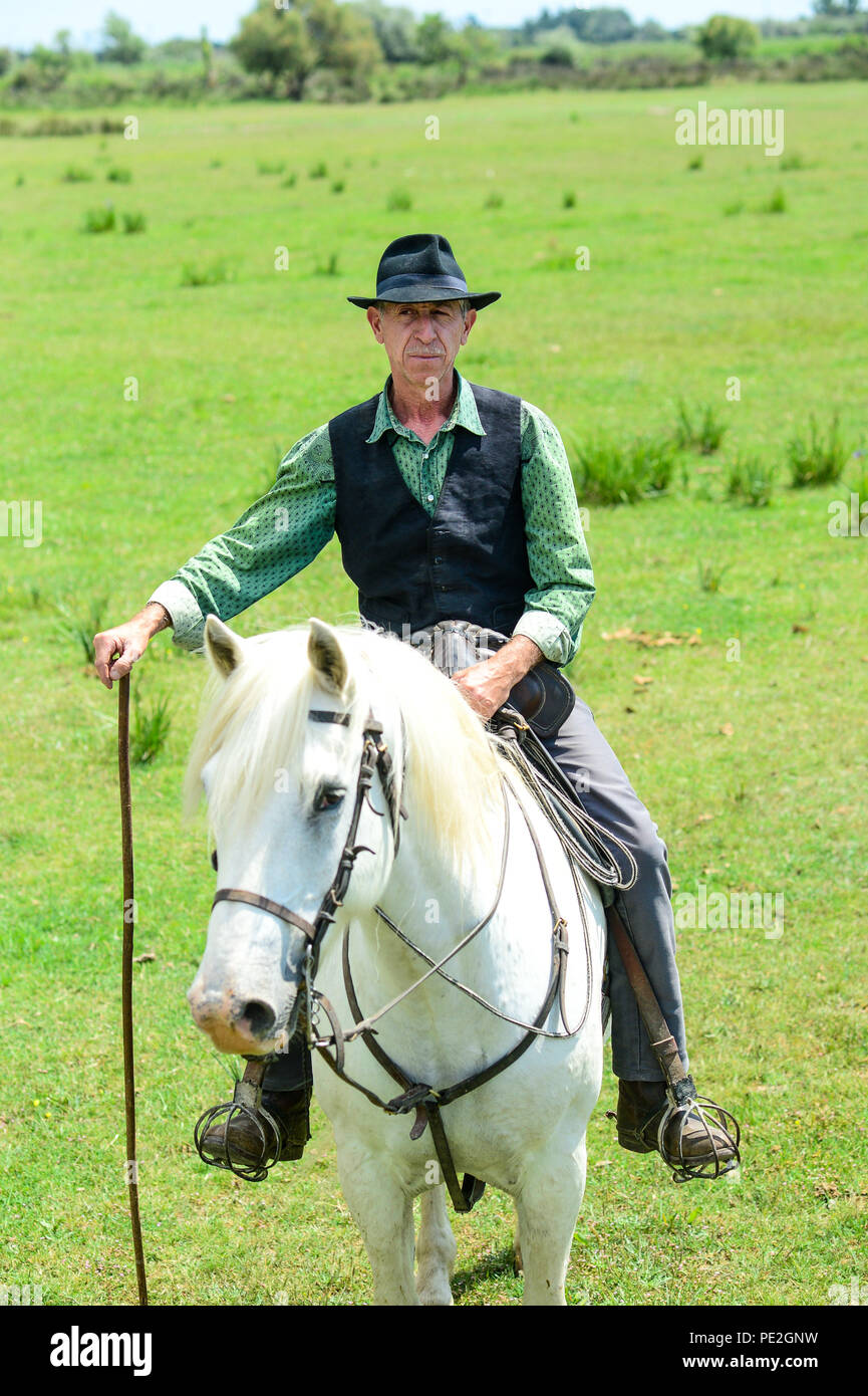 Kreuzfahrt Touristen ein Pferd und Stier Bauernhof mit jungen Pferden ...