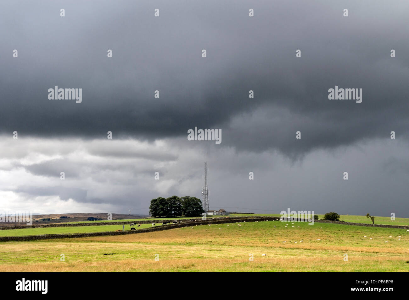 Einfluss auf regen -Fotos und -Bildmaterial in hoher Auflösung – Alamy