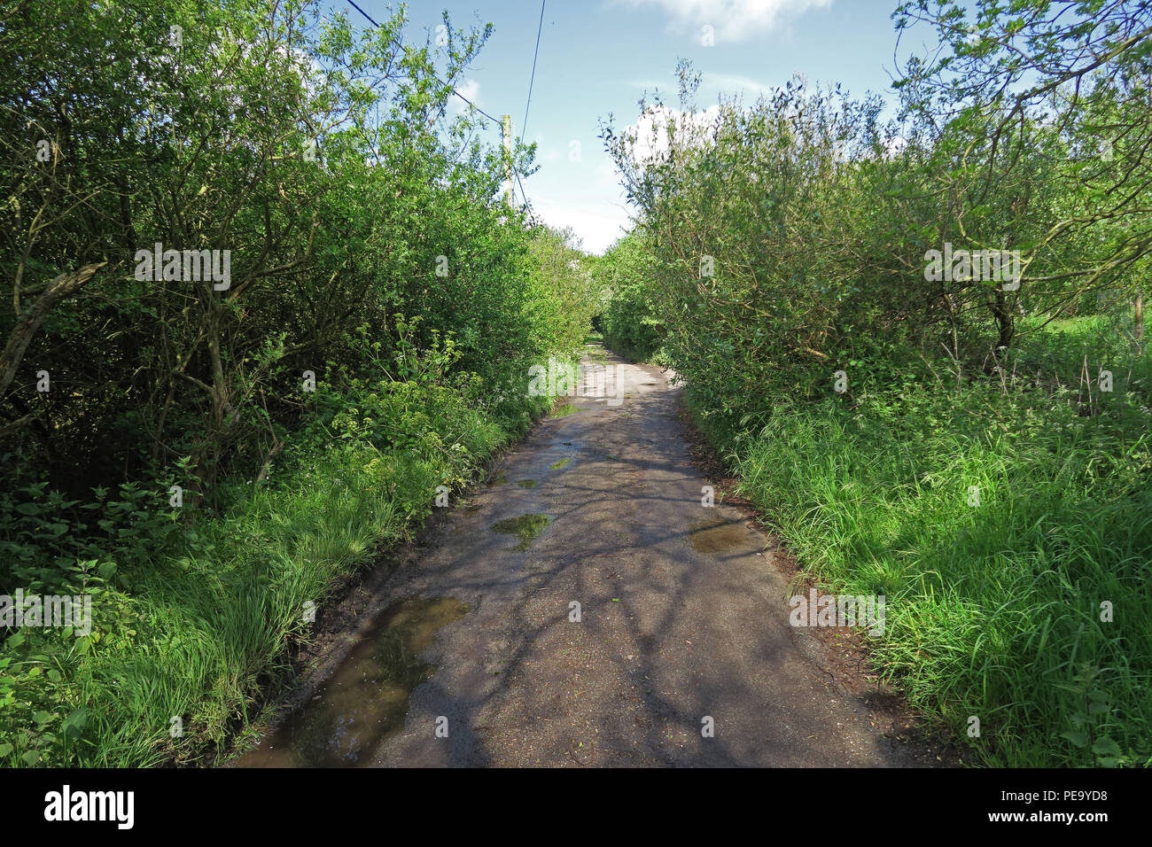 Eccles on sea -Fotos und -Bildmaterial in hoher Auflösung – Alamy