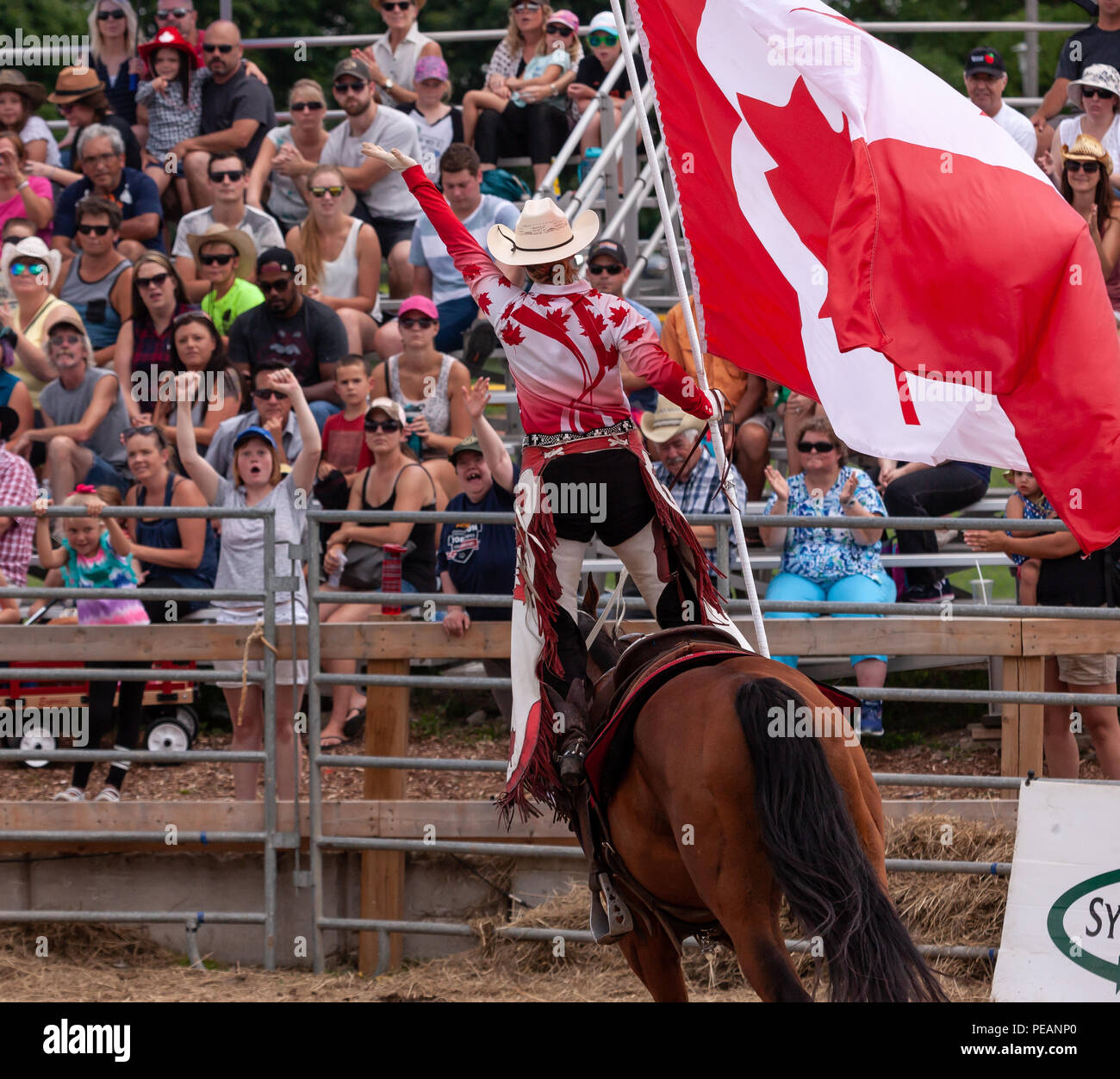 Kanadische cowgirls -Fotos und -Bildmaterial in hoher Auflösung – Alamy
