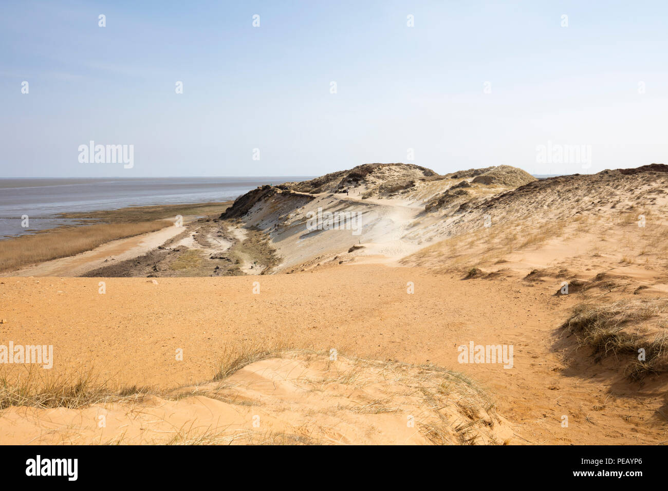 Morsum kliff sylt schleswig holstein germany -Fotos und -Bildmaterial ...