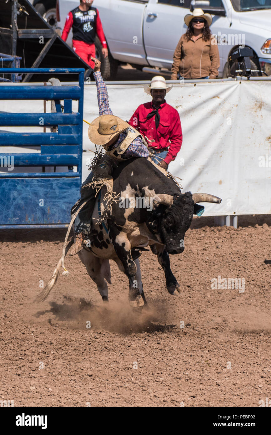 Lehnt sich vor -Fotos und -Bildmaterial in hoher Auflösung – Alamy
