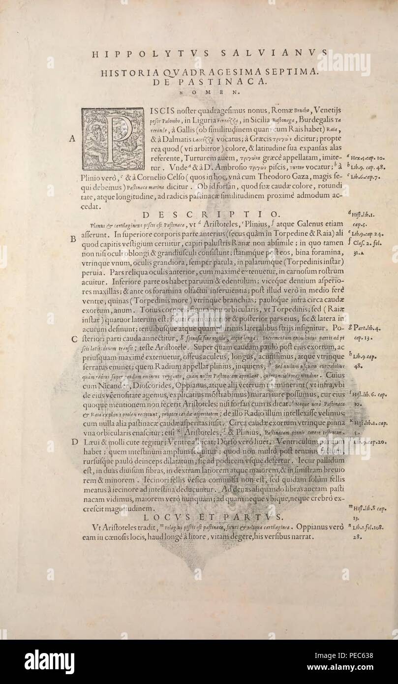 Liber primus -Fotos und -Bildmaterial in hoher Auflösung – Alamy