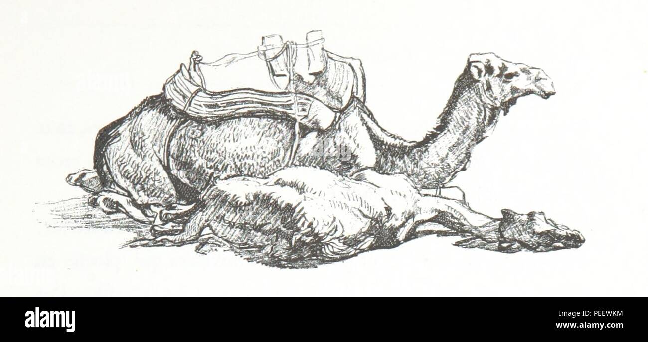 Bild von Seite 117 des "Tableaux alge u0301 riens genommen. Ouvrage ...