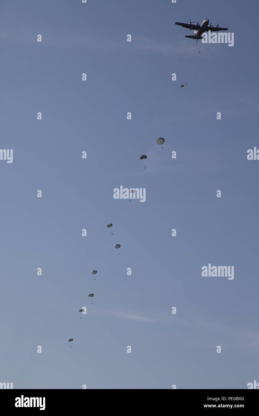Fallschirmjäger hinab auf die Drop Zone nach dem Verlassen einer C-130 ...