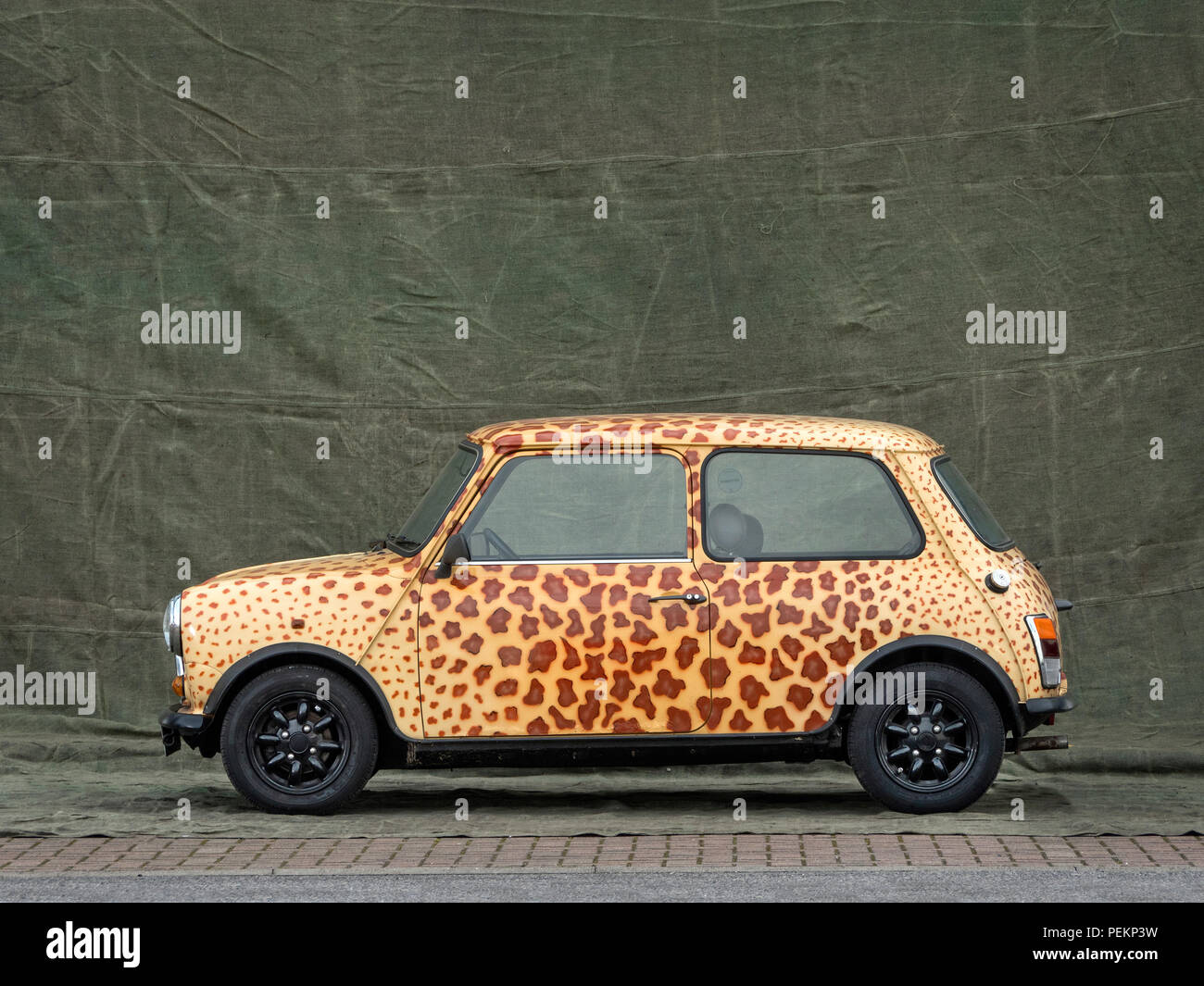 1989 Rover Mini Leopard skin Design Stockfotografie - Alamy