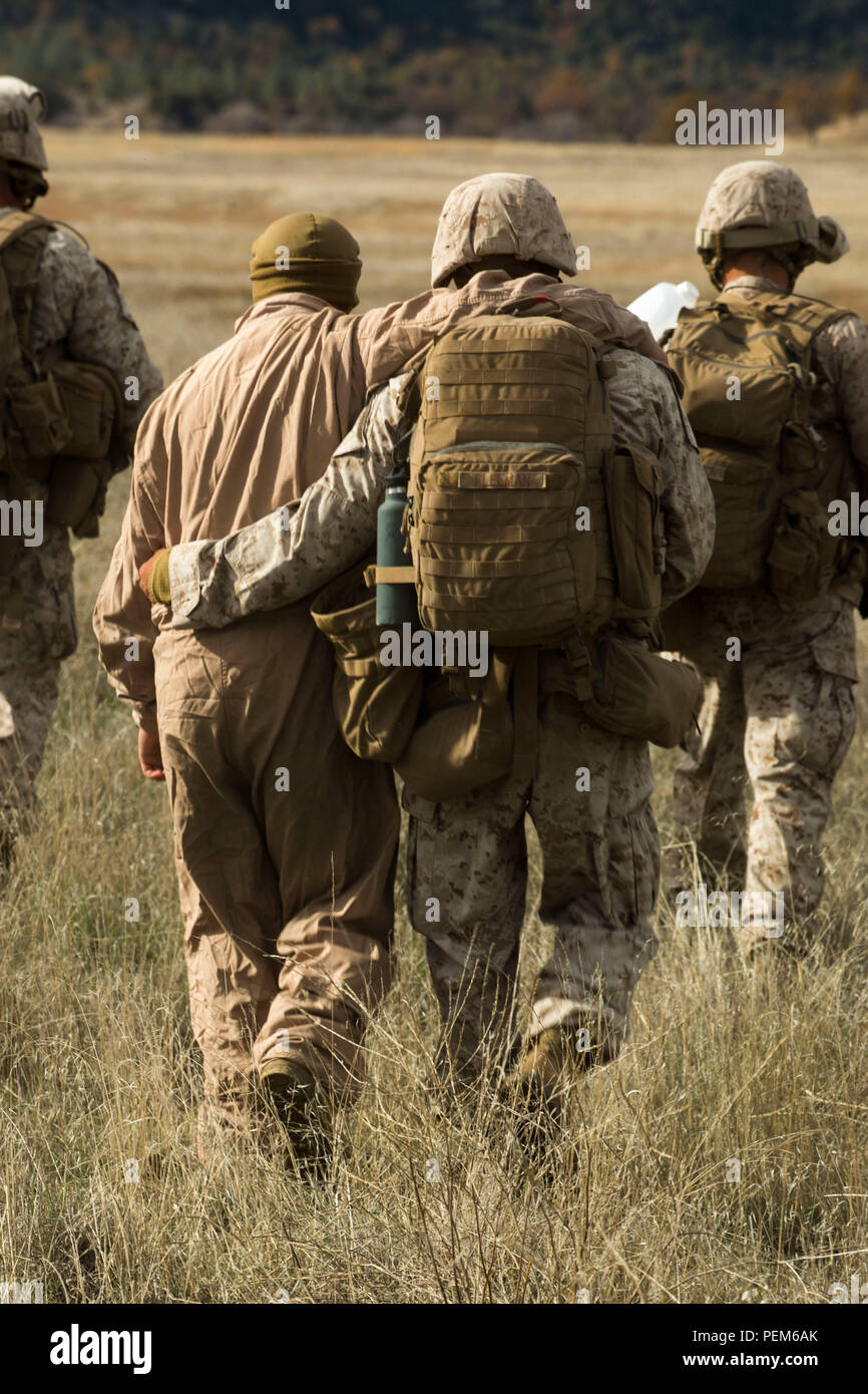 U.S. Navy Hospitalman Michael Fleeman, ein corpsmen mit Fox Firma, 2 ...