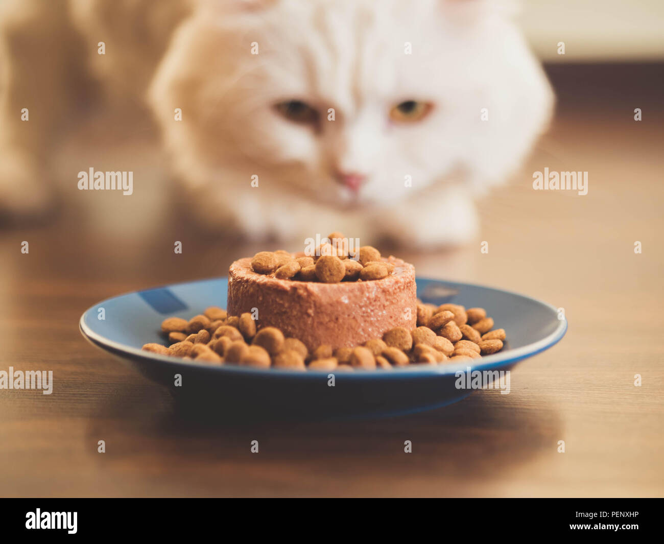 Menschen essen leckere tiere -Fotos und -Bildmaterial in hoher ...