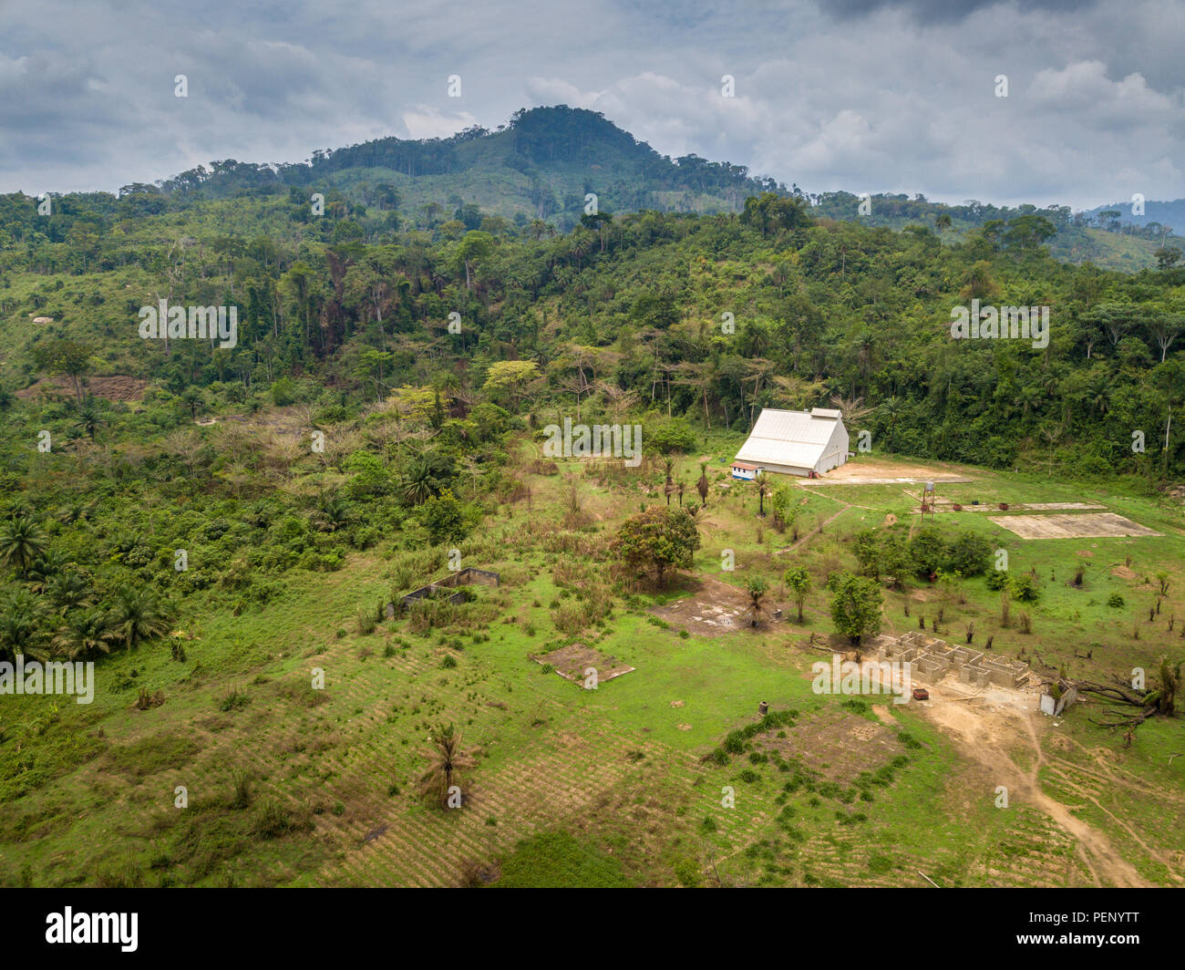 Liberia Forest Stockfotos & Liberia Forest Bilder - Alamy