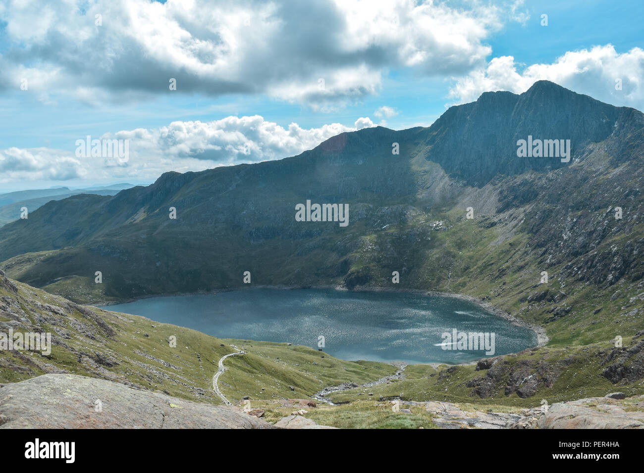 Snowdonia flora -Fotos und -Bildmaterial in hoher Auflösung – Alamy