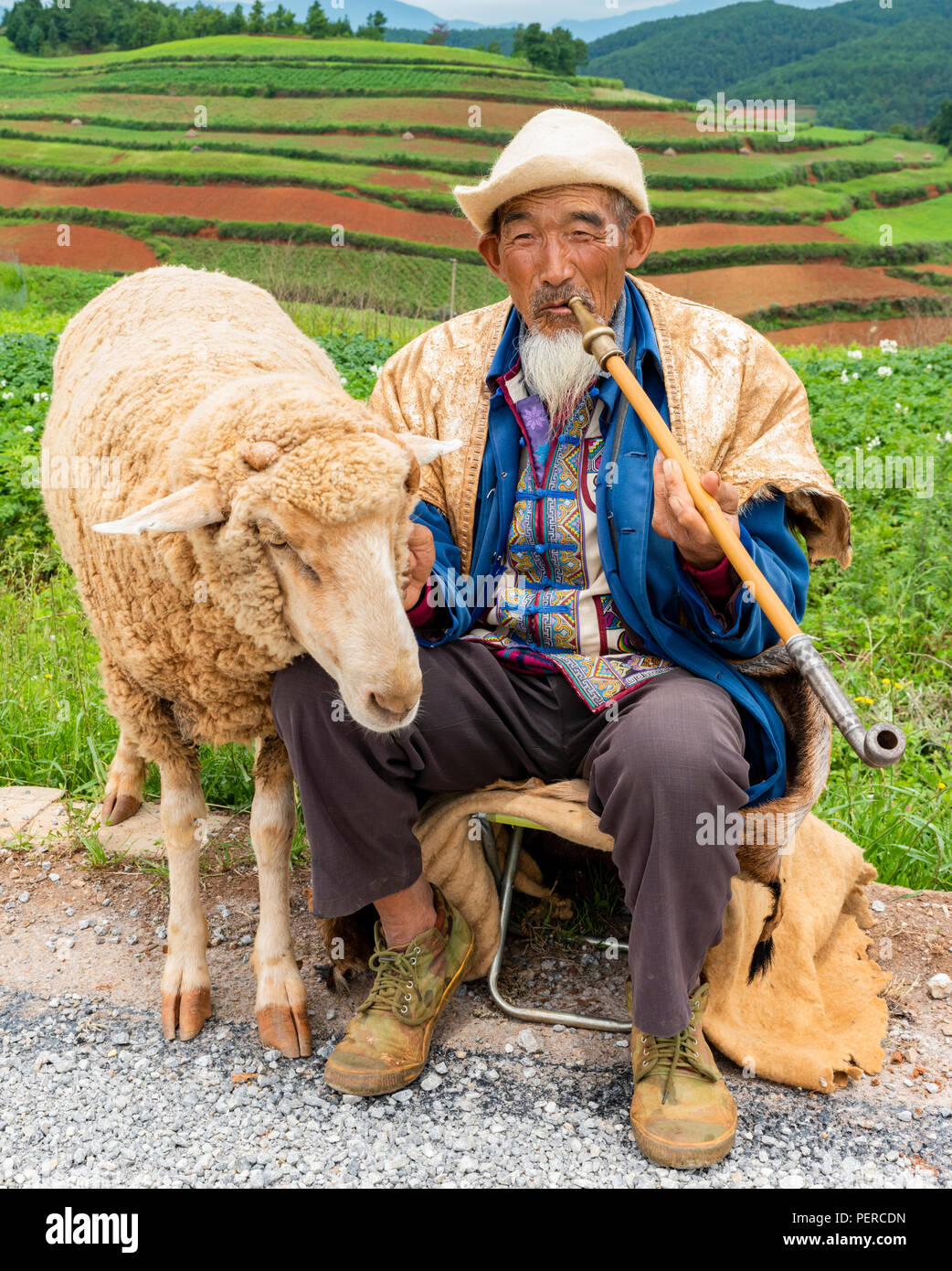 Old chinese man -Fotos und -Bildmaterial in hoher Auflösung - Seite 2 ...