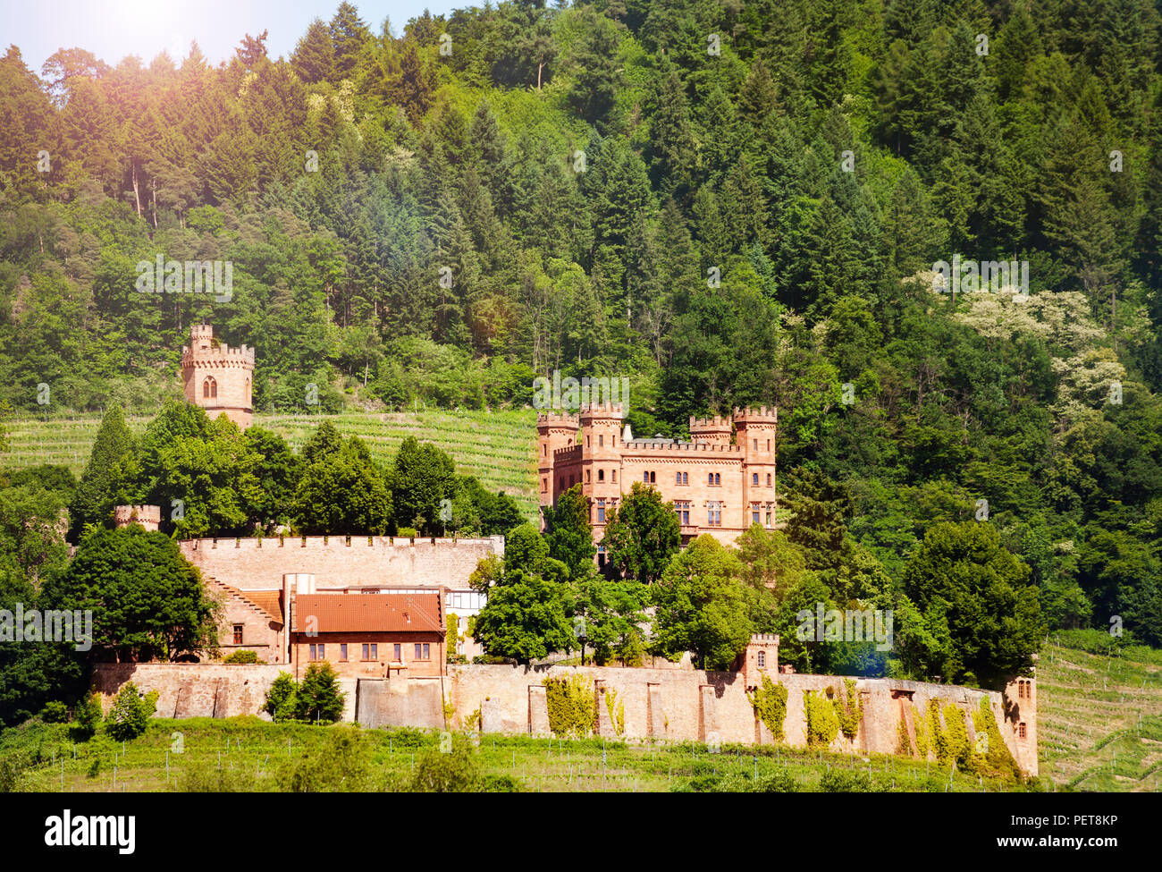 Schlossblicksee bei Ortenberg Schloss in Offenburg Deutschland Bade ... Schlossblicksee bei Ortenberg Schloss in Offenburg Deutschland Bade ...