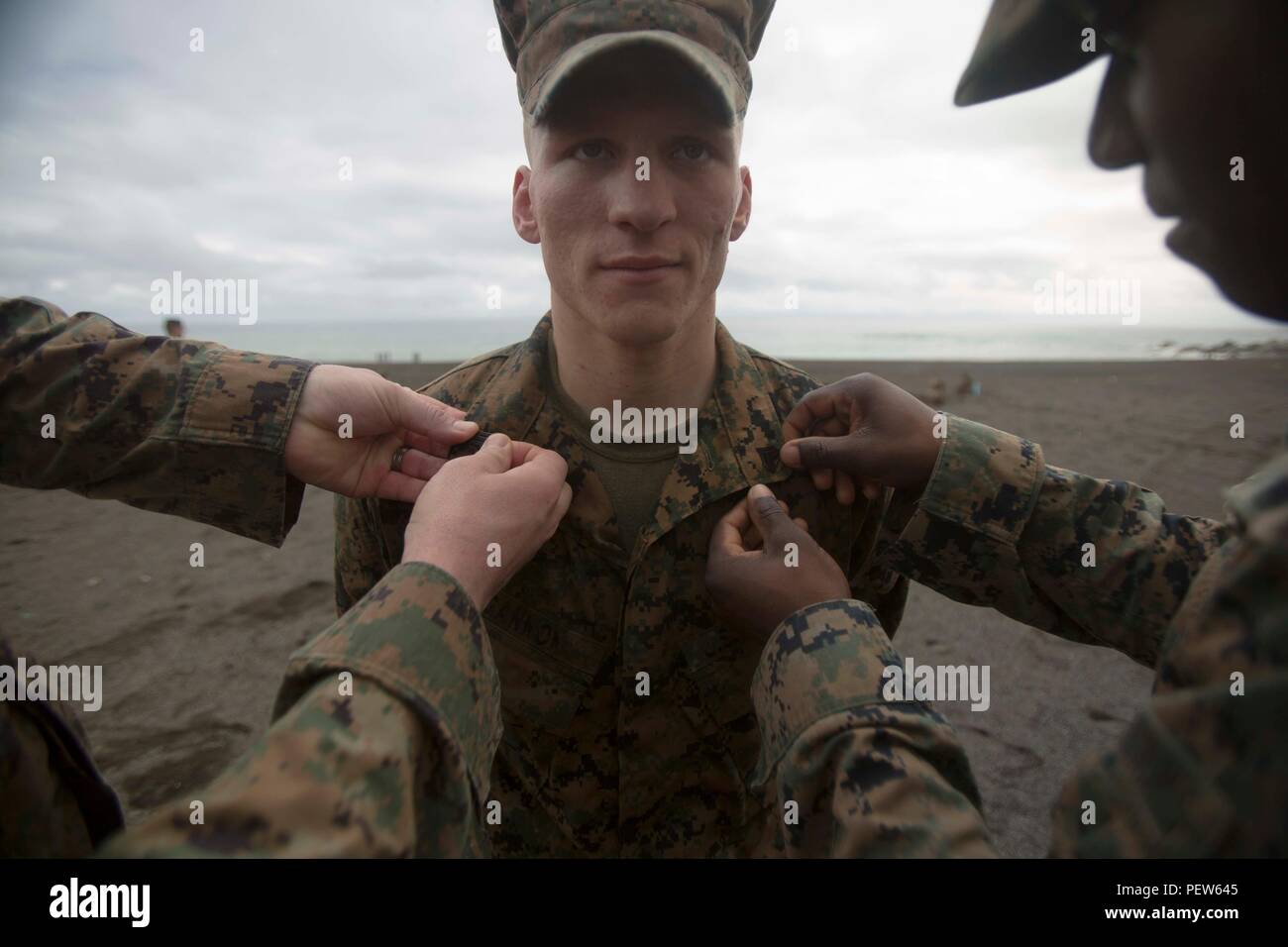 Meritorious sergeant board -Fotos und -Bildmaterial in hoher Auflösung ...
