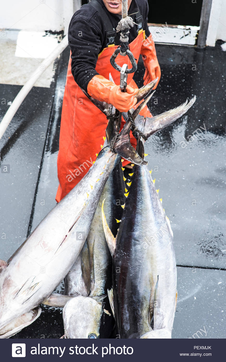 Boot Auf Einem Stockfotos und -bilder Kaufen - Alamy