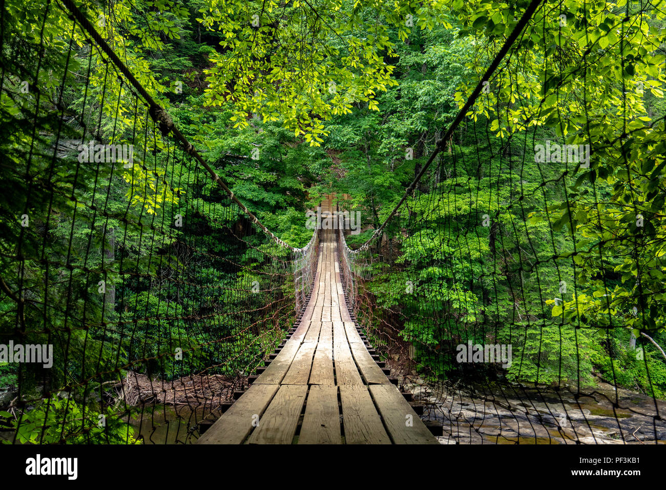 Cane Creek Suspension Bridge - Fall Creek Falls State Park, Spencer ...