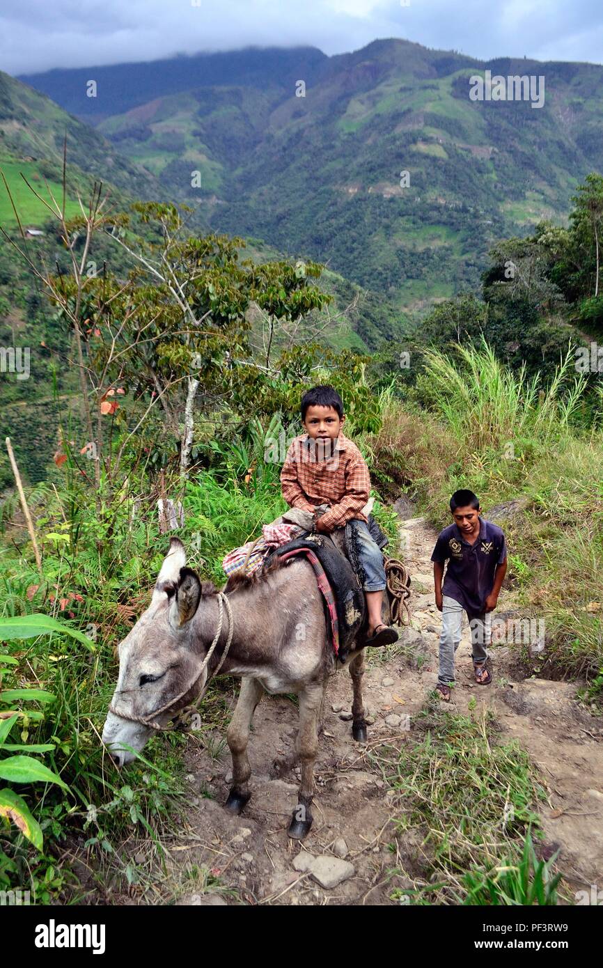 LA ZUNGA - Ecuador Grenze - San Ignacio - Departement Cajamarca PERU ...