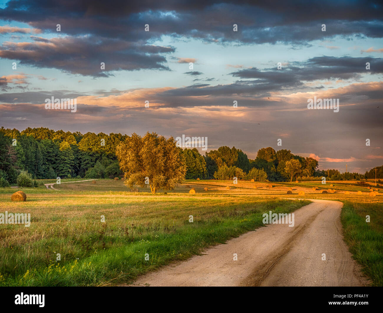 Eine Landstraße. Podlachien. Podlachia. Polen, Europa. Die Region wird ...