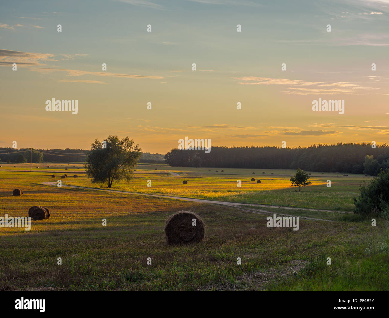 Eine Landstraße. Podlachien. Podlachia. Polen, Europa. Die Region wird ...
