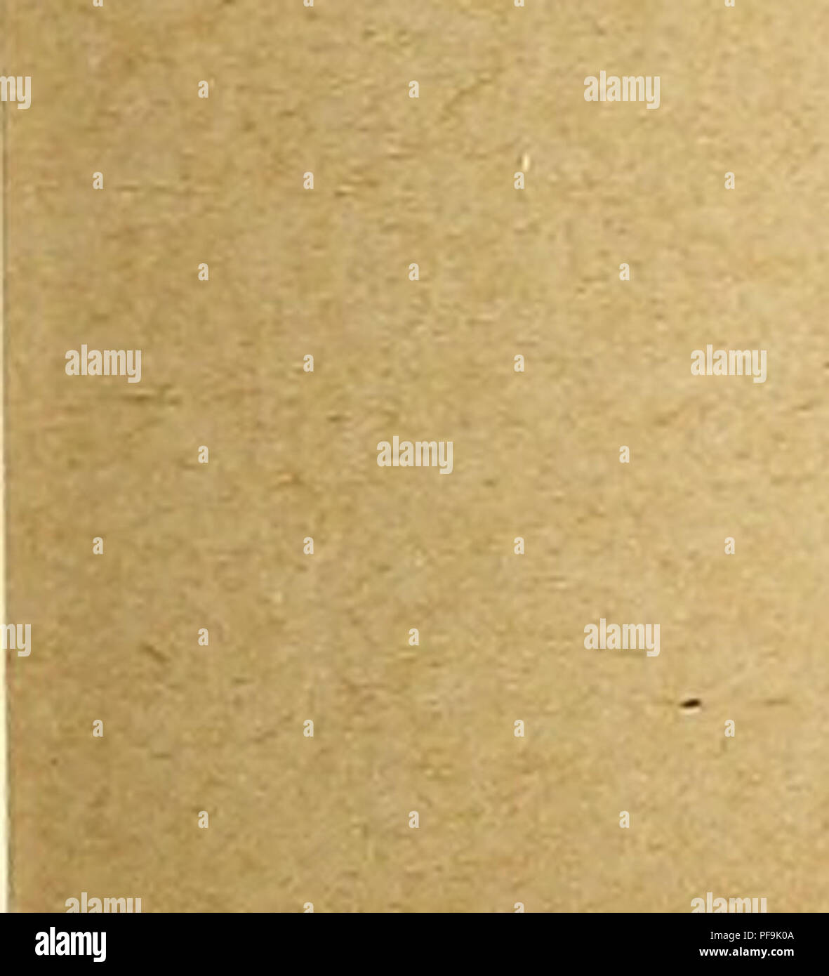 Collectoris -Fotos und -Bildmaterial in hoher Auflösung – Alamy