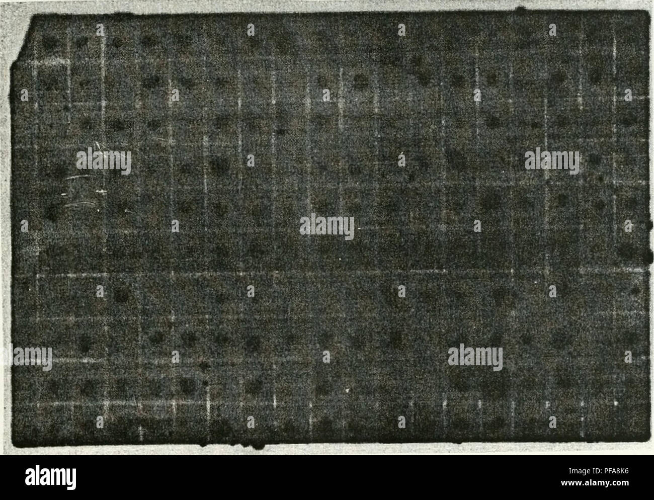 Dna kennzeichnung -Fotos und -Bildmaterial in hoher Auflösung – Alamy