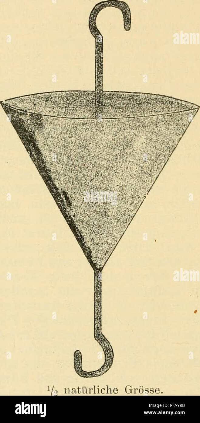 . Deutsche entomologische Zeitschrift Iris. Lepidoptera. 120 Carl Ribbe ...