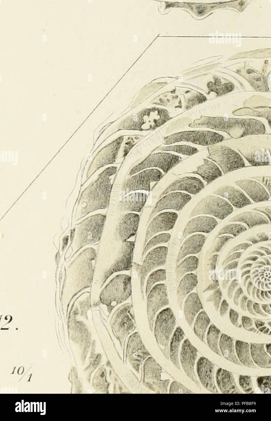 . Beschreibung gÃ©ologique de Java et Madoura. Geologie; Geologie ...