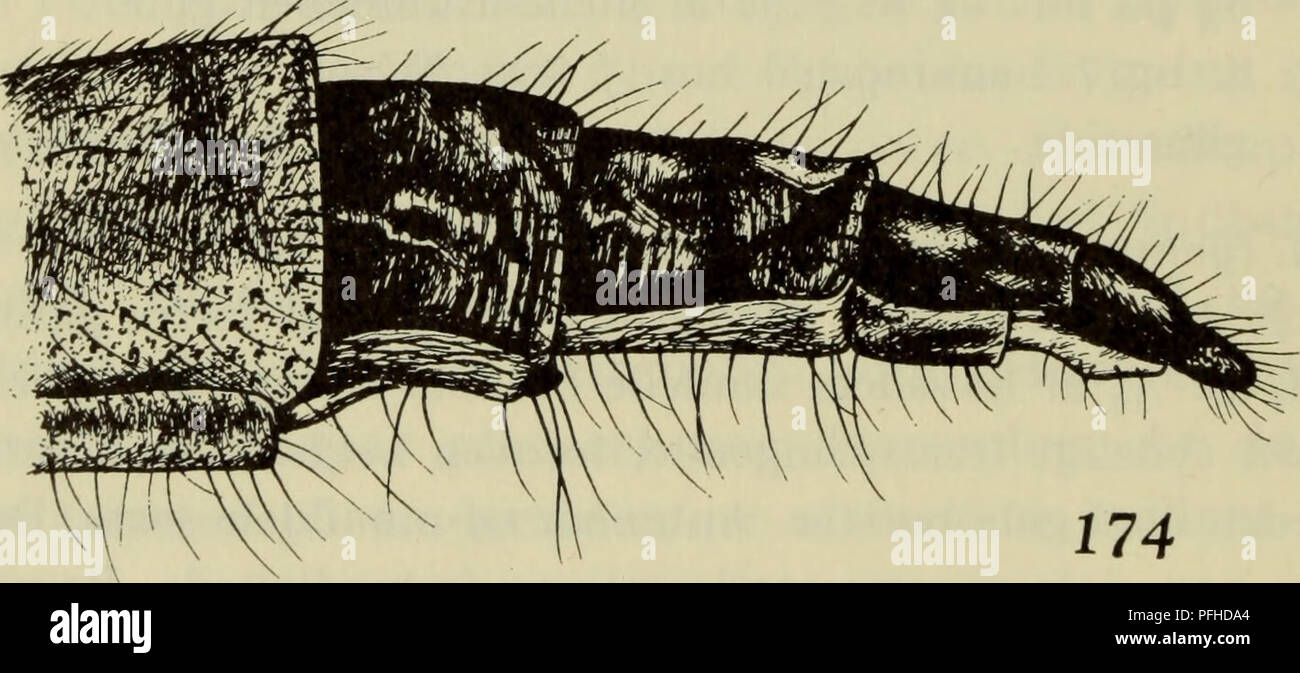 Danske ost -Fotos und -Bildmaterial in hoher Auflösung – Alamy
