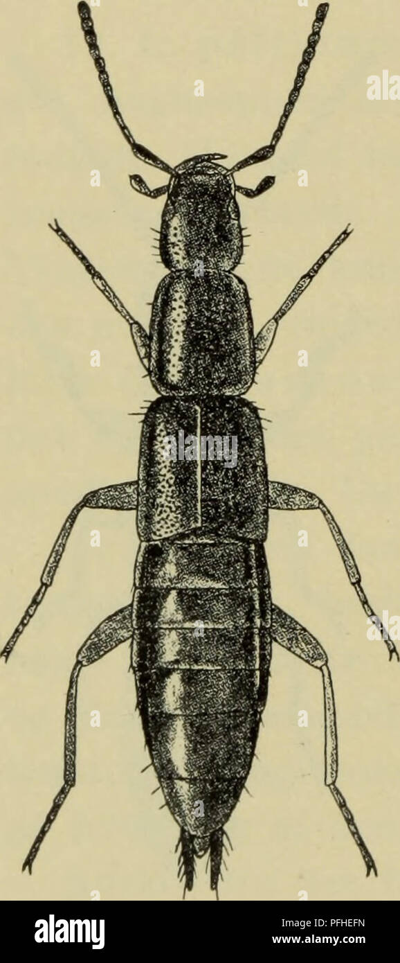 Gedser Odde Stockfotos und -bilder Kaufen - Alamy