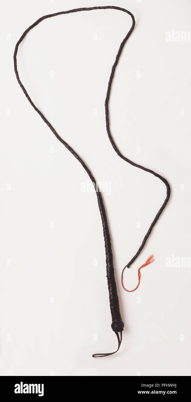 Peitscht pferde -Fotos und -Bildmaterial in hoher Auflösung – Alamy