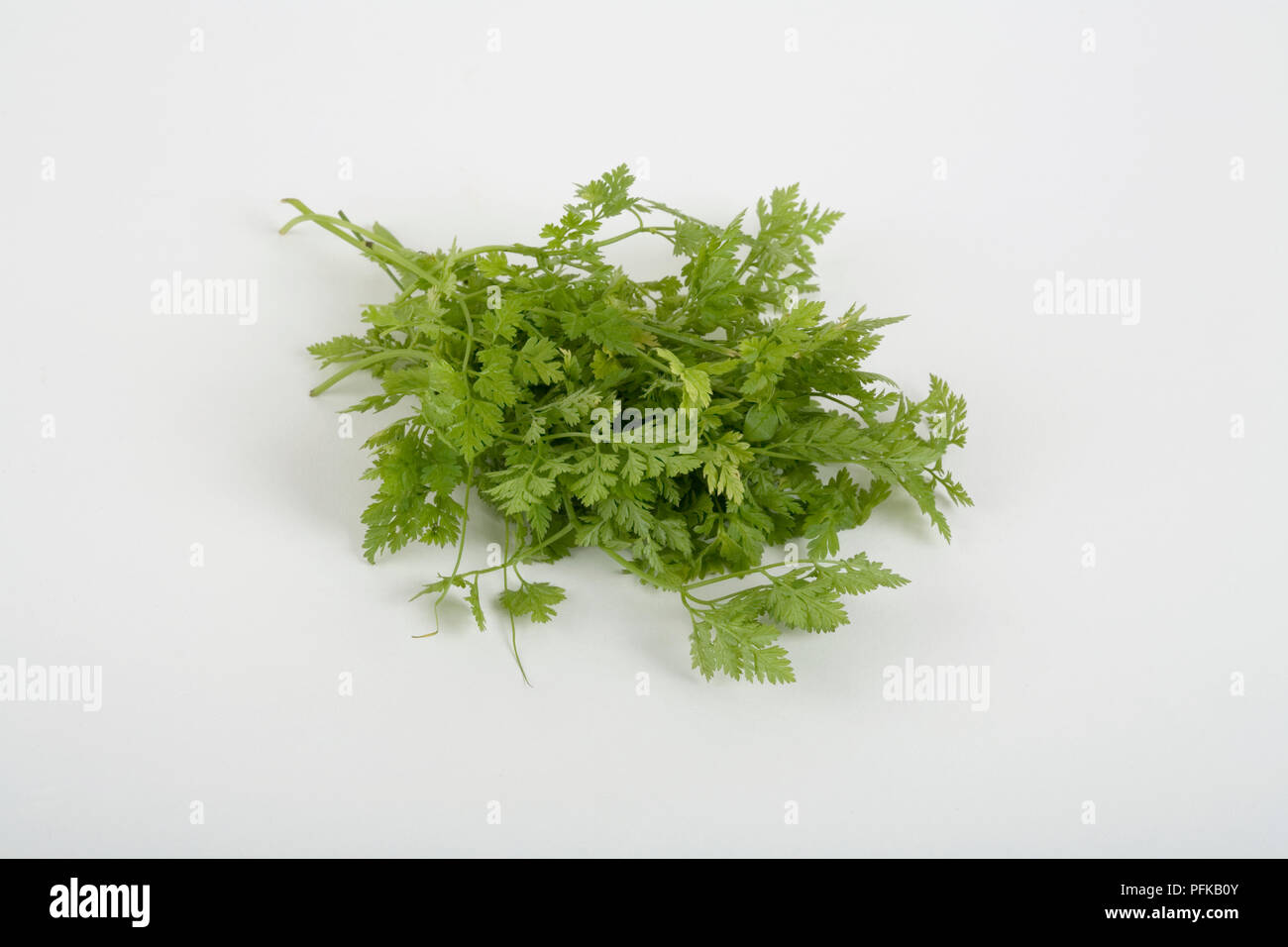 Kerbel haufen -Fotos und -Bildmaterial in hoher Auflösung – Alamy