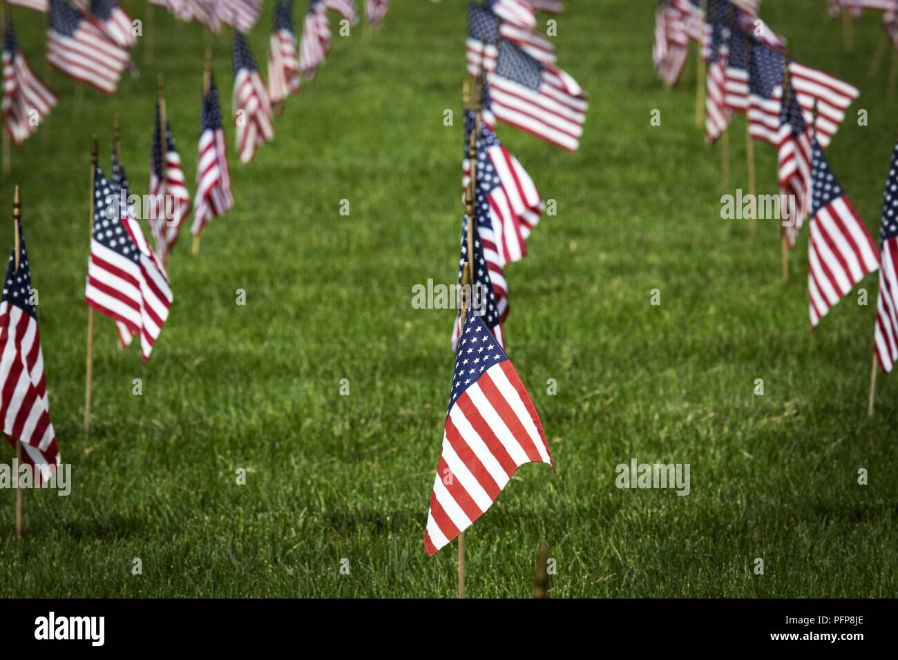Amerikanische Fahnen von den Pfadfindern und Pfadfinderinnen platziert ...