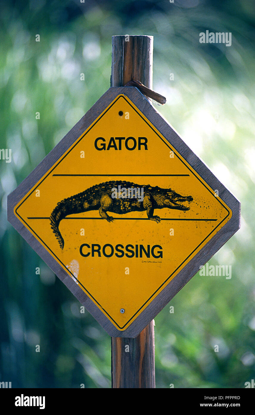Alligator crossing sign -Fotos und -Bildmaterial in hoher Auflösung – Alamy