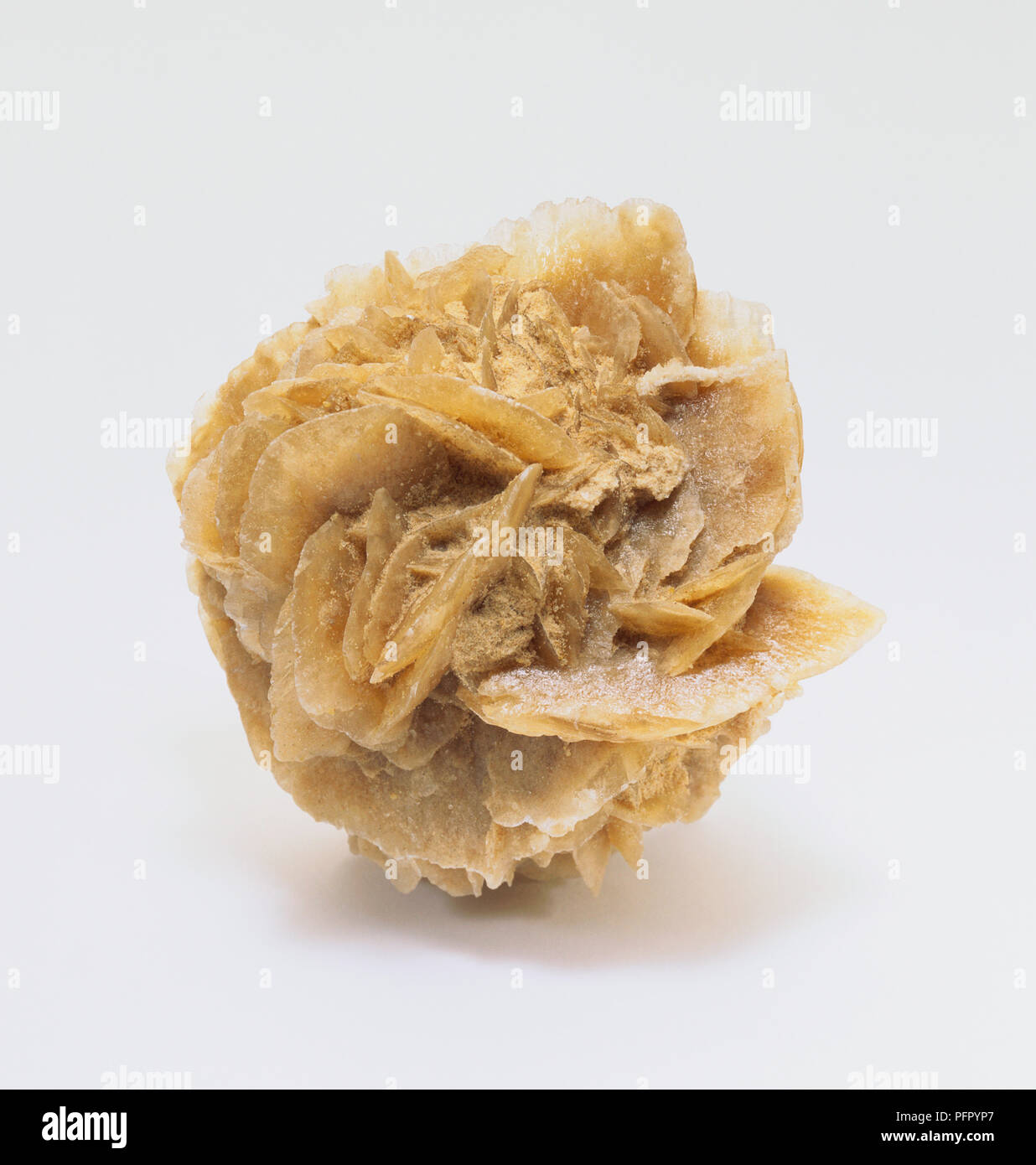 Gypsum Rose Stockfotos und -bilder Kaufen - Alamy