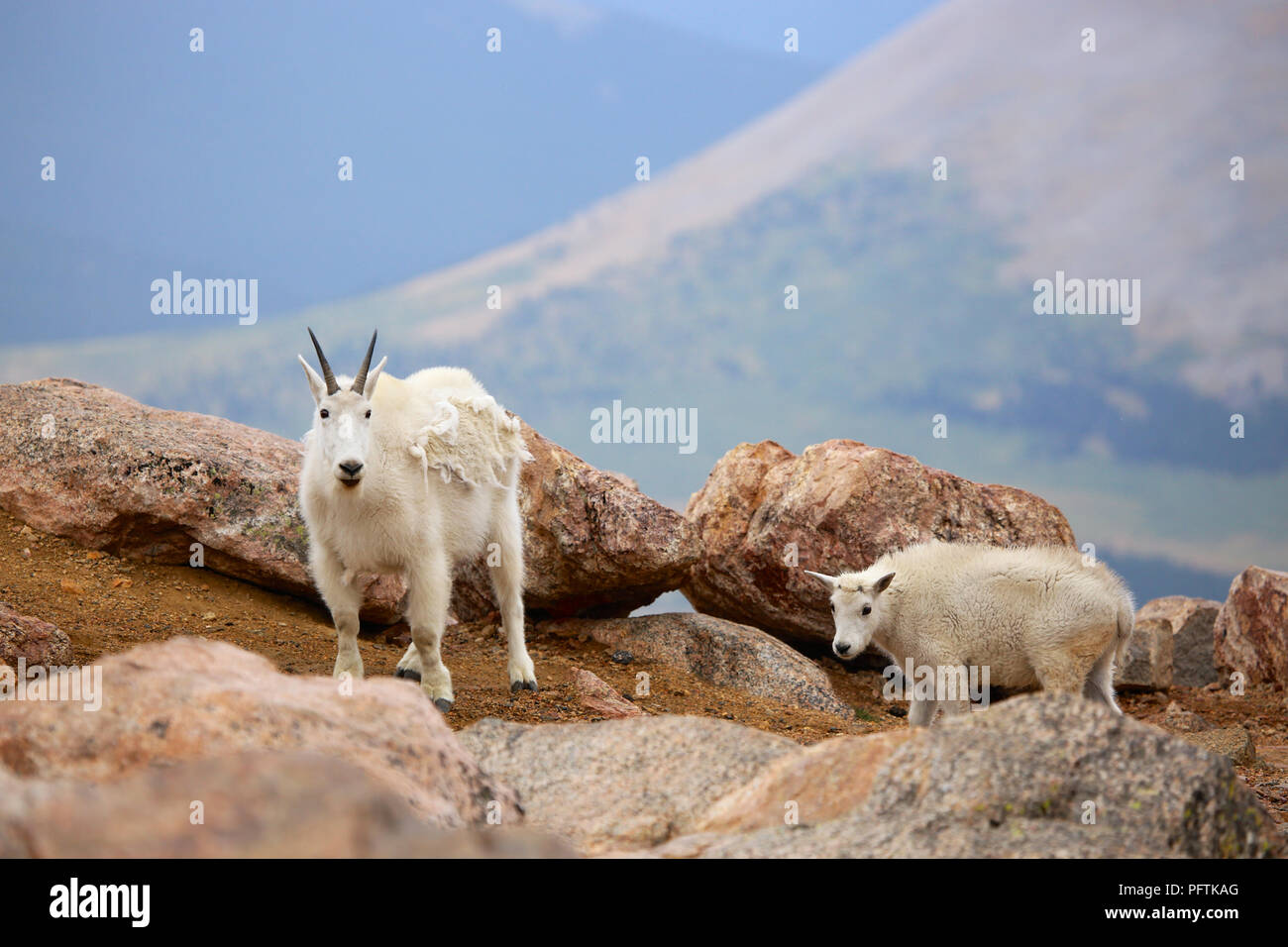 Berg kind -Fotos und -Bildmaterial in hoher Auflösung – Alamy