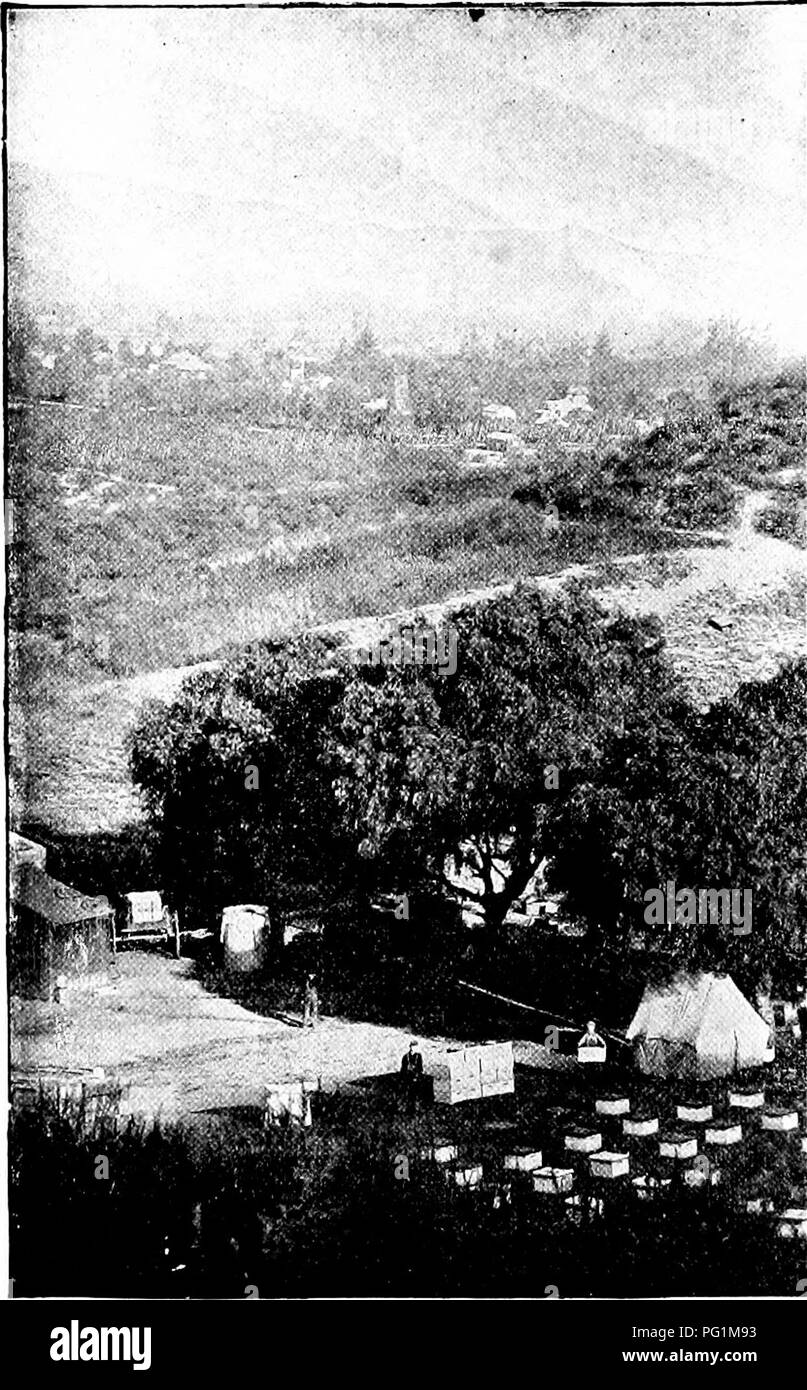 Lorenzo langstroth -Fotos und -Bildmaterial in hoher Auflösung – Alamy
