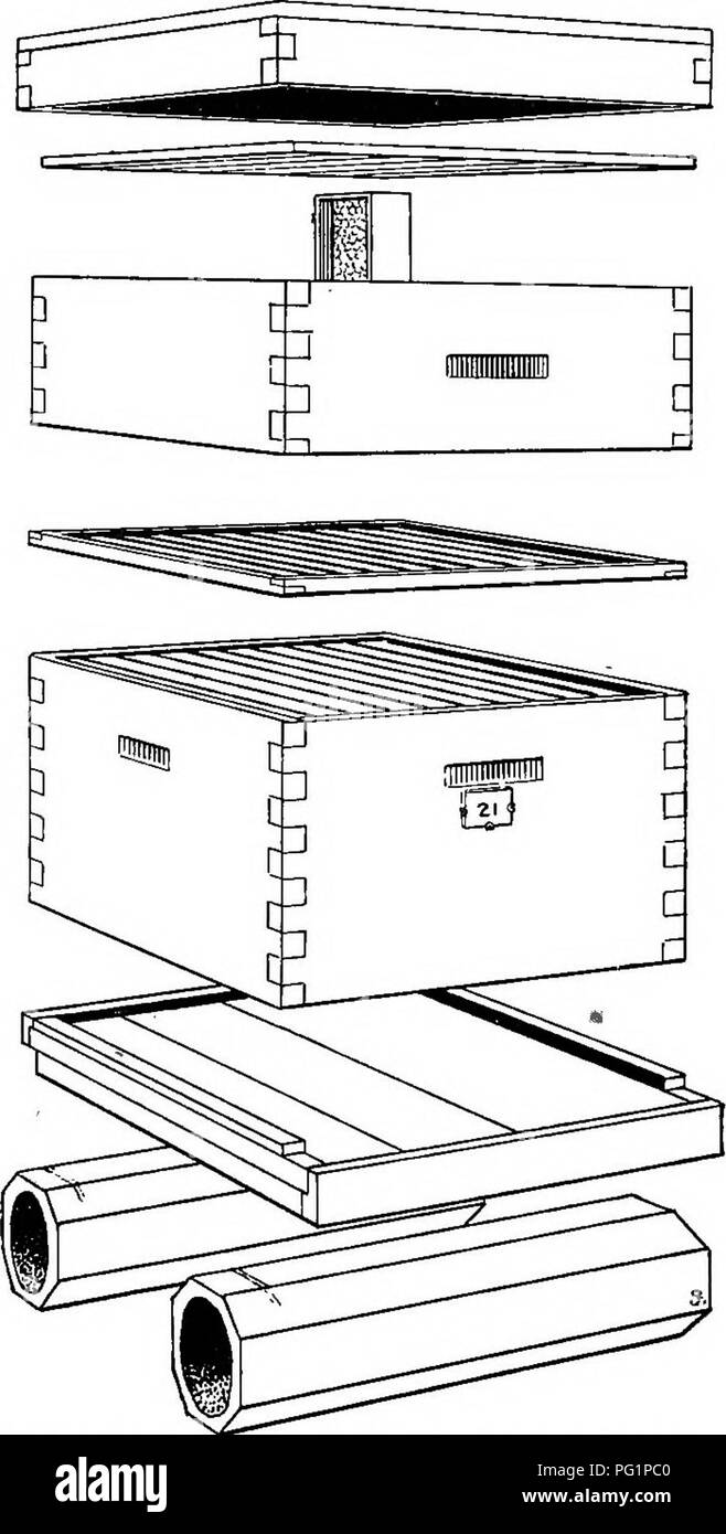 . Honig und Imkereien in Maryland. Bienen. 242 MABTLAND ...