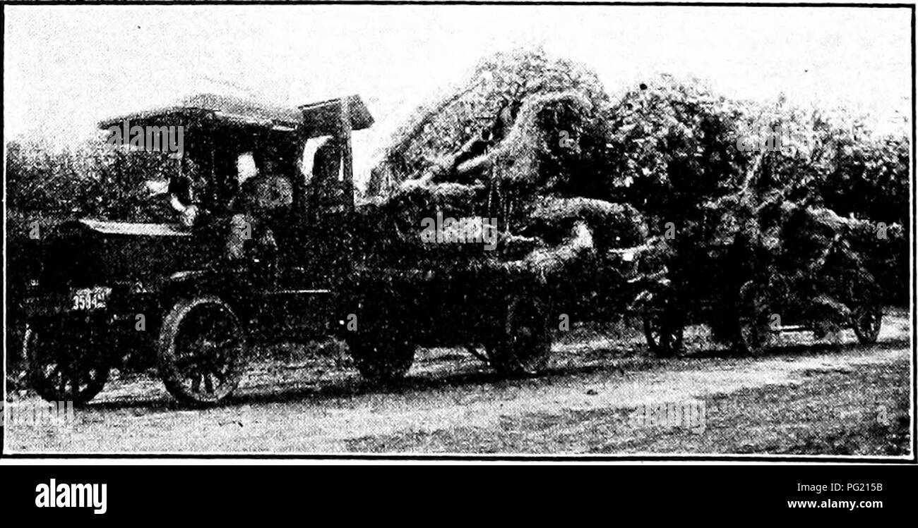 Wagner apfel Schwarzweiß-Stockfotos und -bilder - Alamy