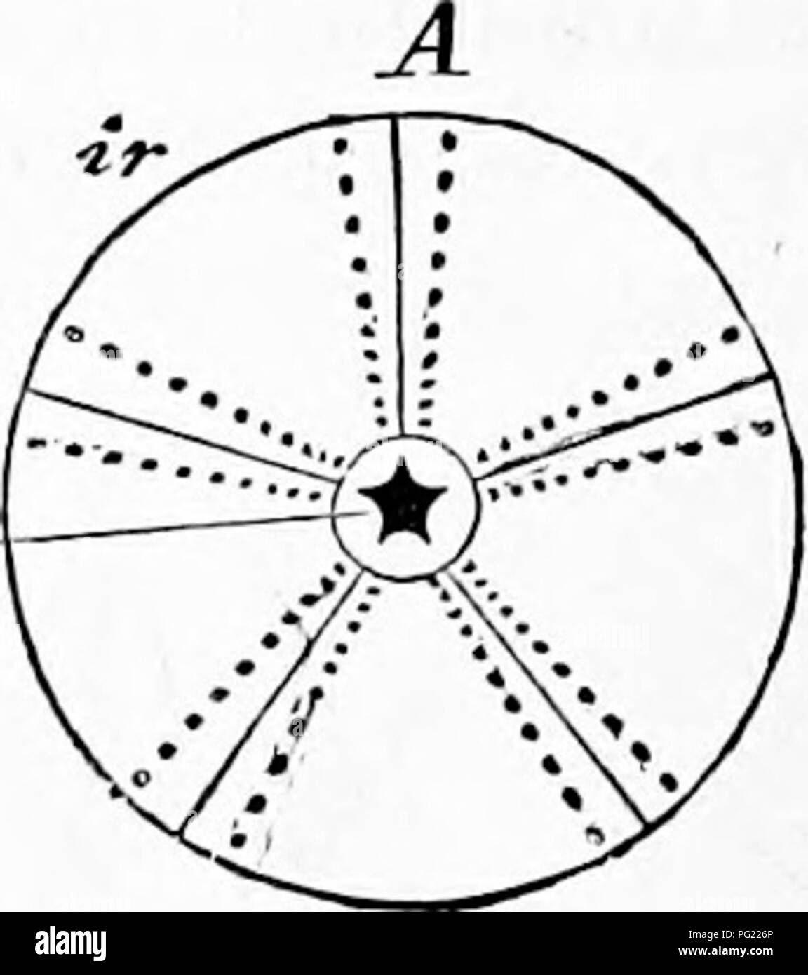 Ein Einführungsführer in die Zoologie, der die Anatomie und Biologie ...
