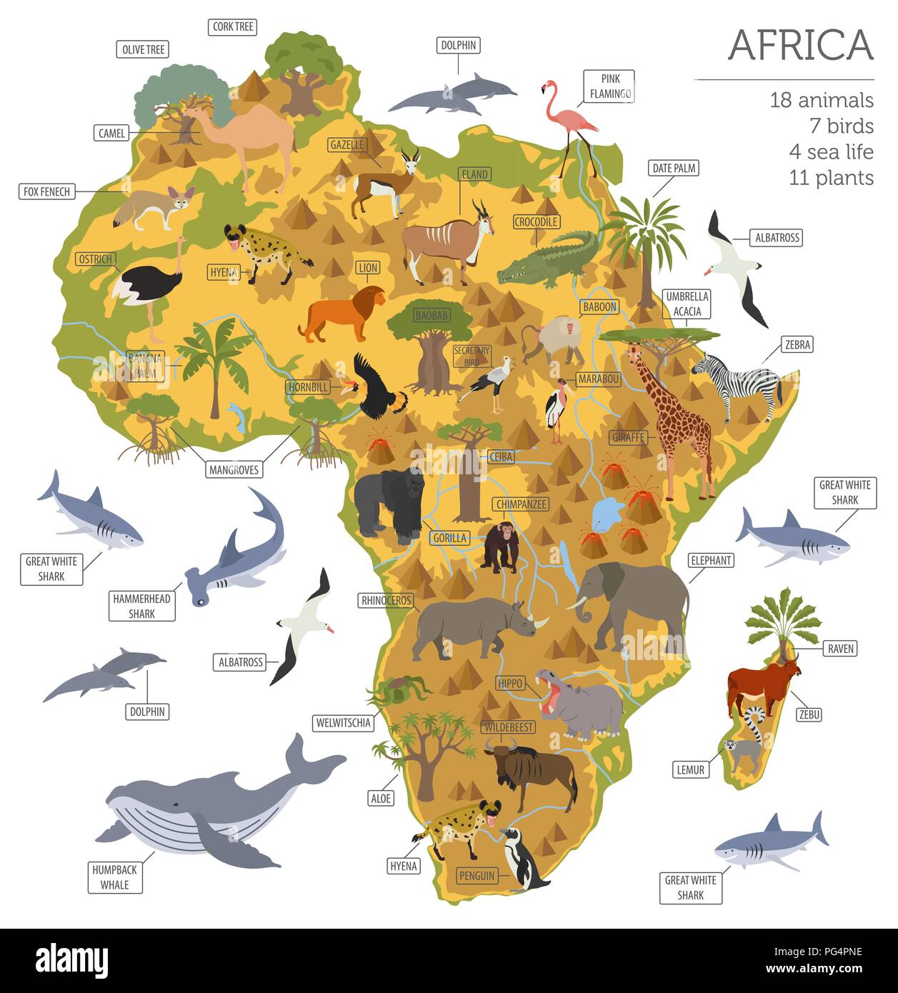 Flache Afrika Flora und Fauna Karte Konstruktor Elemente. Tiere, Vögel ...