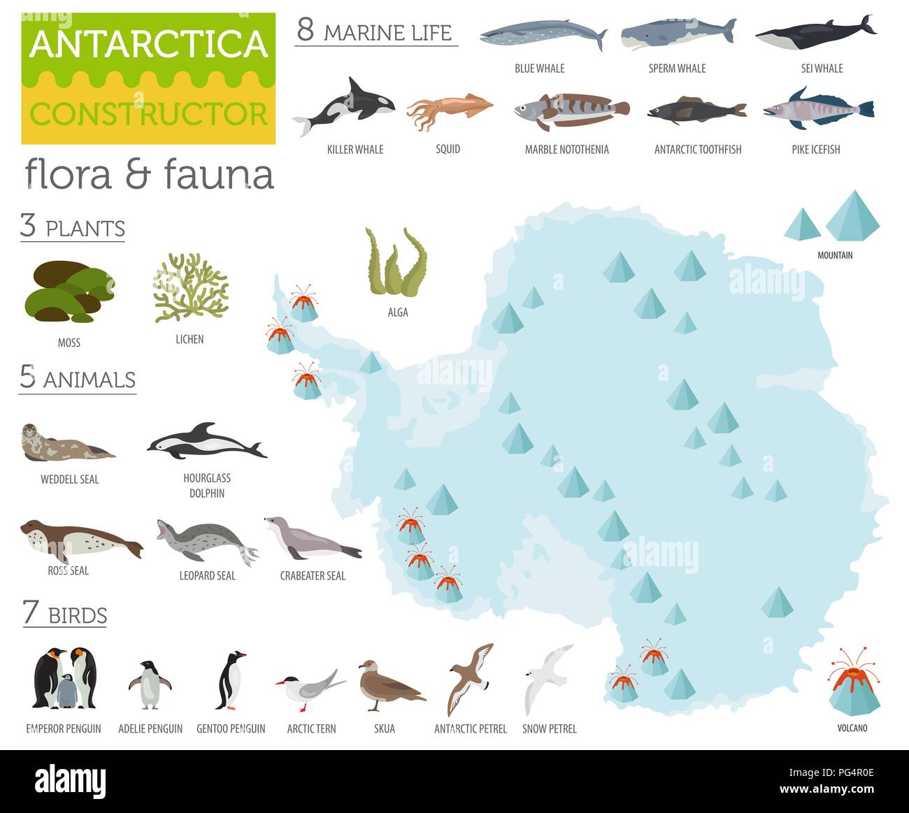 Antarktis, Antarktis, Flora und Fauna Karte, flache Elemente. Tiere ...